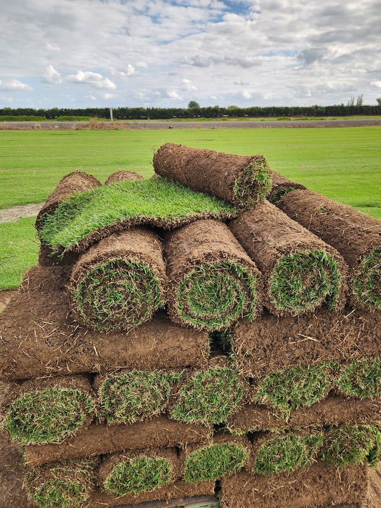 Residential Turf Installation and Lawn Care | Musturf